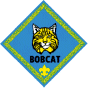Bobcat Page
